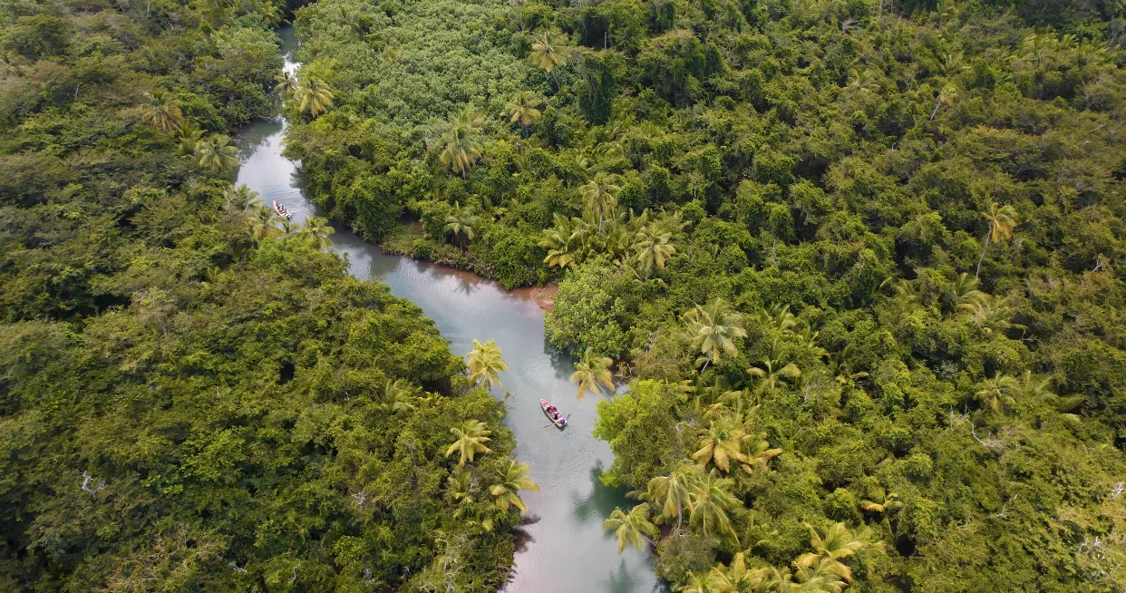 Dominica’s Ecosystems – DOM767