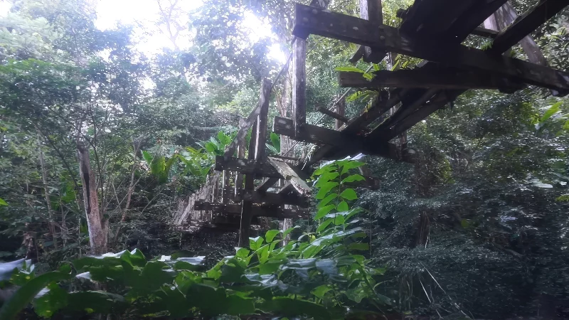 Waitukubuli National Trail: Segment #11 – DOM767