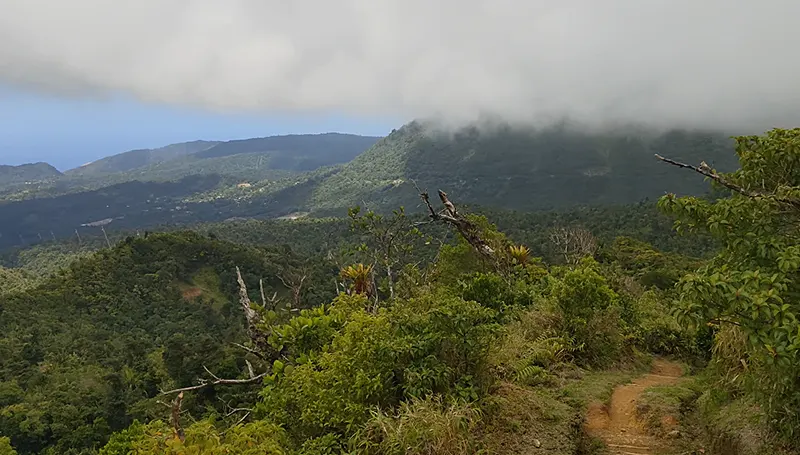 Dominica’s Terrain – DOM767