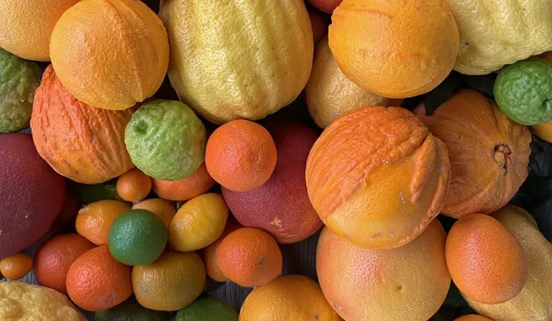 Citrus Fruits from Dominica – DOM767