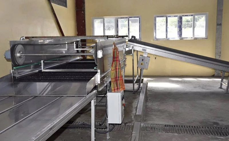 Glanvillia Packhouse – DOM767