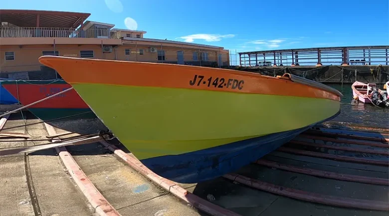 Roseau Fisheries Complex – DOM767