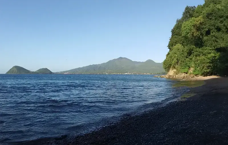 Tibay – Dominica – DOM767