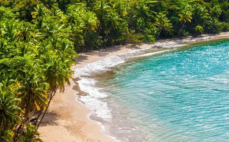 Hampstead Beach – DOM767