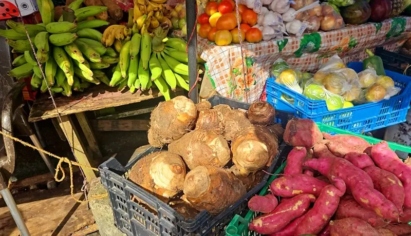 Root Vegetables – DOM767