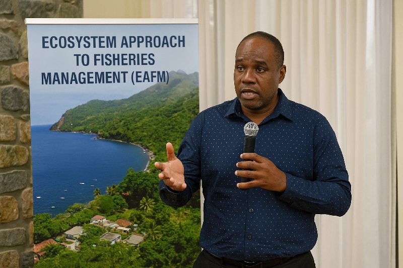 Ecosystem Approach to Fisheries Management (EAFM) Plan for Dominica ...