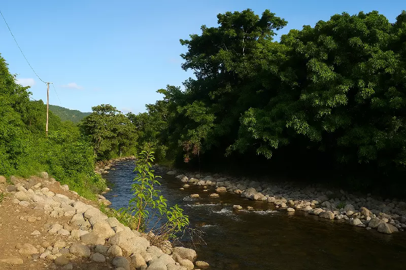 Belfast River – DOM767