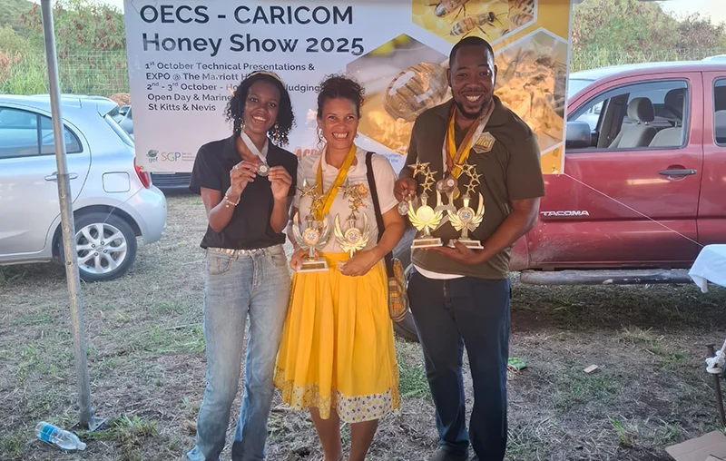 Sweet Success! 🐝 Dominica Wins Big at 2025 OECS Honey Show – DOM767
