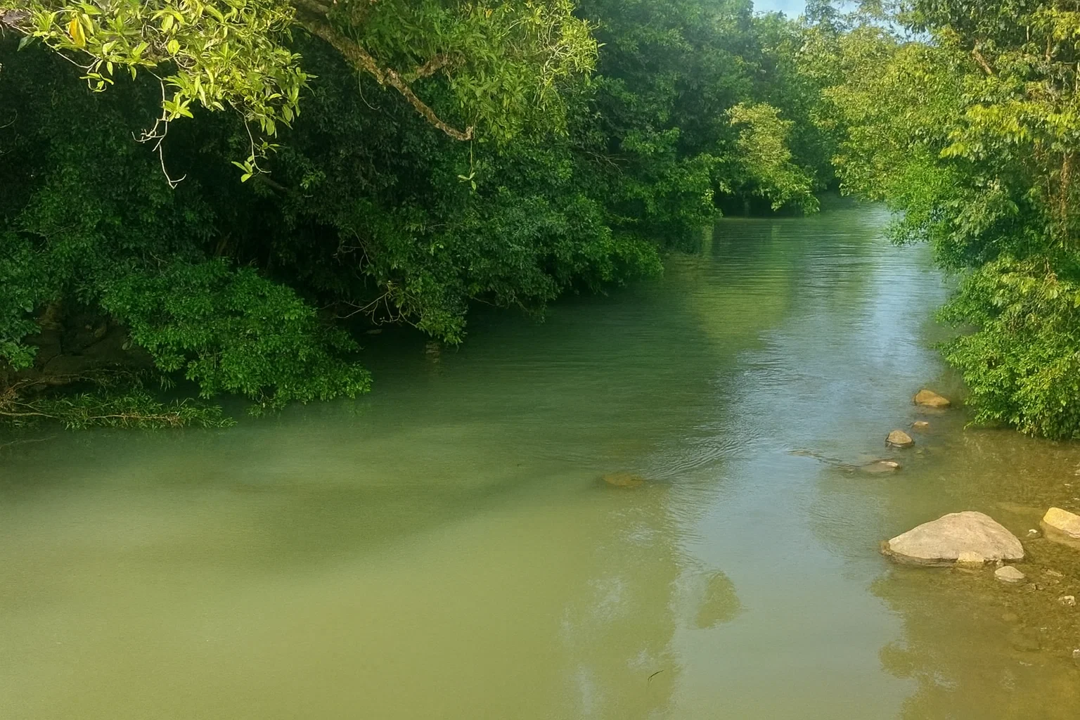 Concord River – DOM767